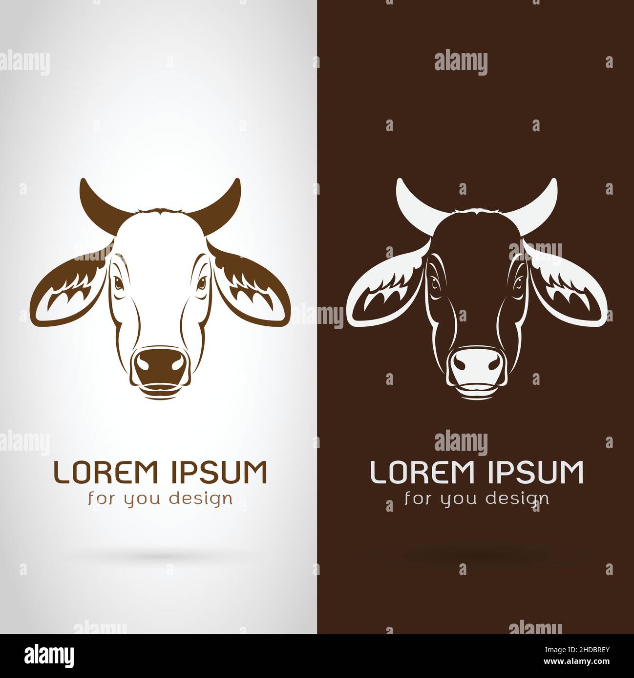 Vector of cow head design on white background and brown background ...
