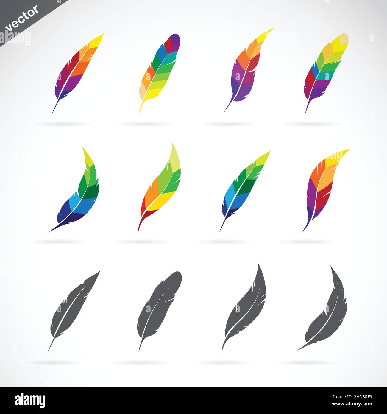 Vector group of feathers icon design on white background. Easy editable ...