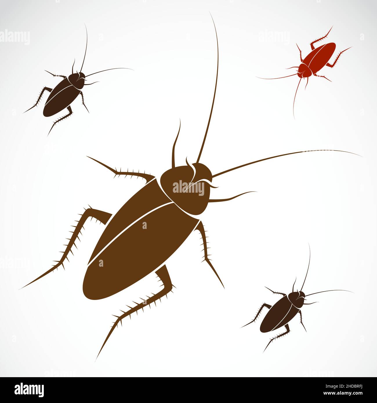 Vector of cockroach on white background. Easy editable layered vector ...