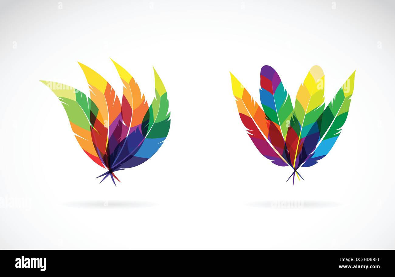 Vector group of feathers design on white background. Easy editable ...