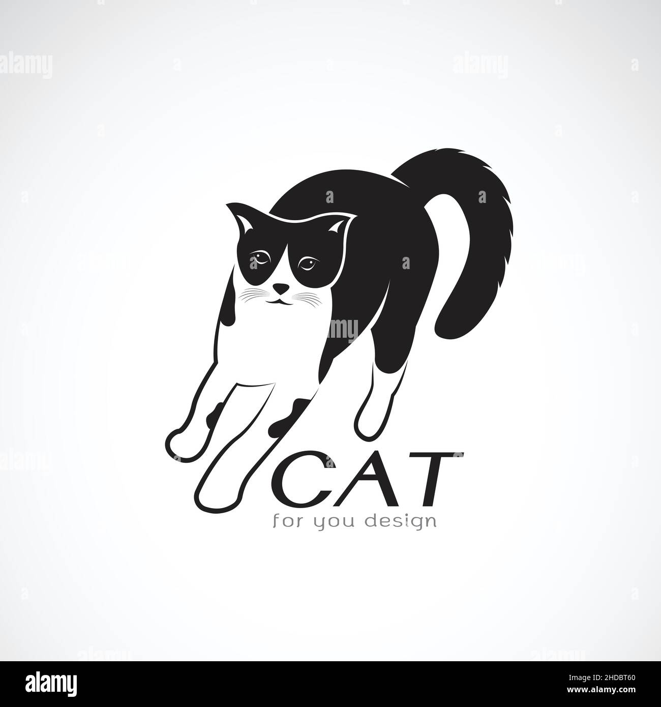 Vector of a cat on white background. Pet. Animals. Vector illustration. Easy editable layered ...