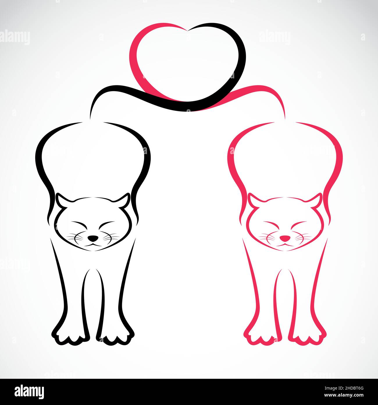 Vector of cat on white background. Easy editable layered vector illustration Stock Vector Image ...