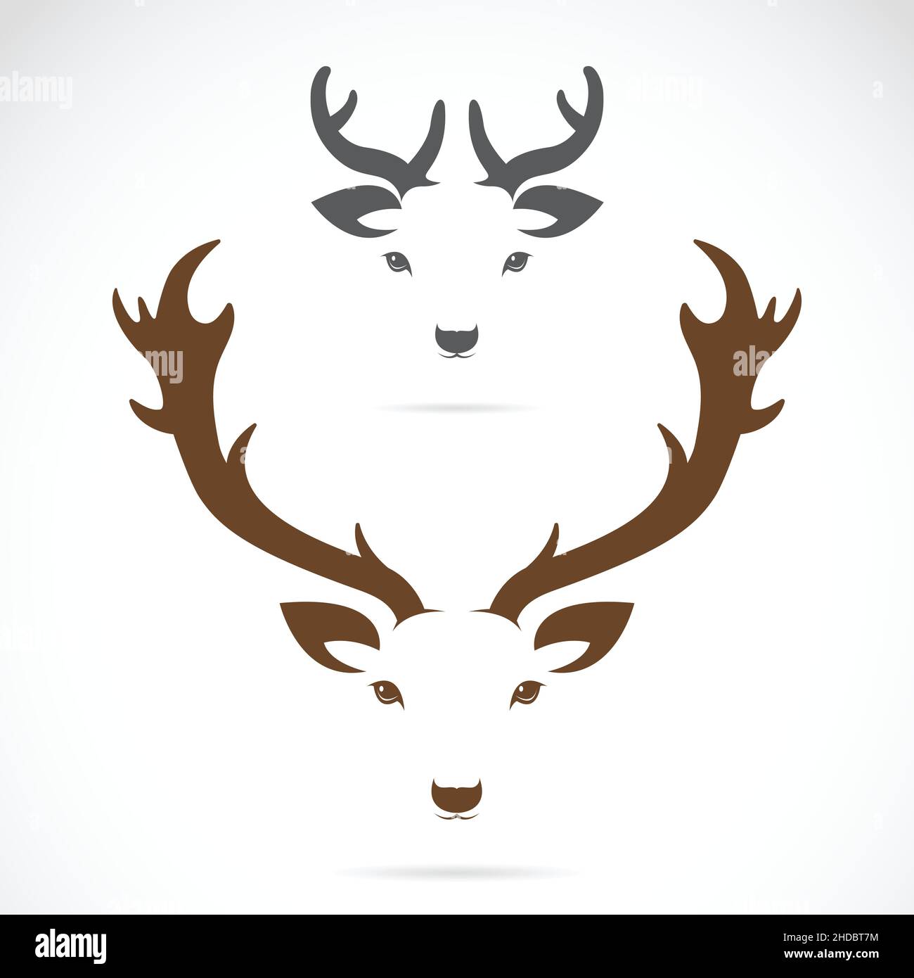 Vector of deer head on a white background. Easy editable layered vector ...