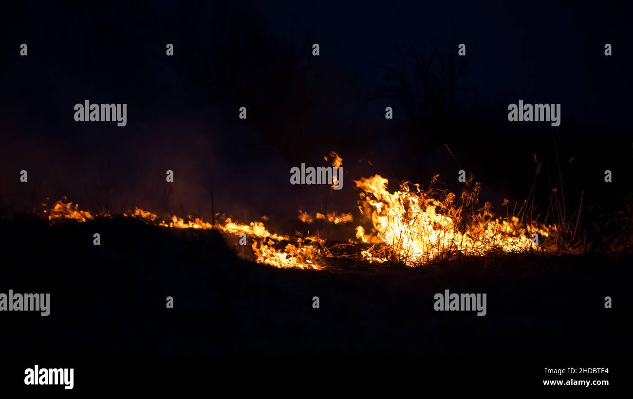 Nature on fire, night shot. Arson and fire, disaster and extreme events ...