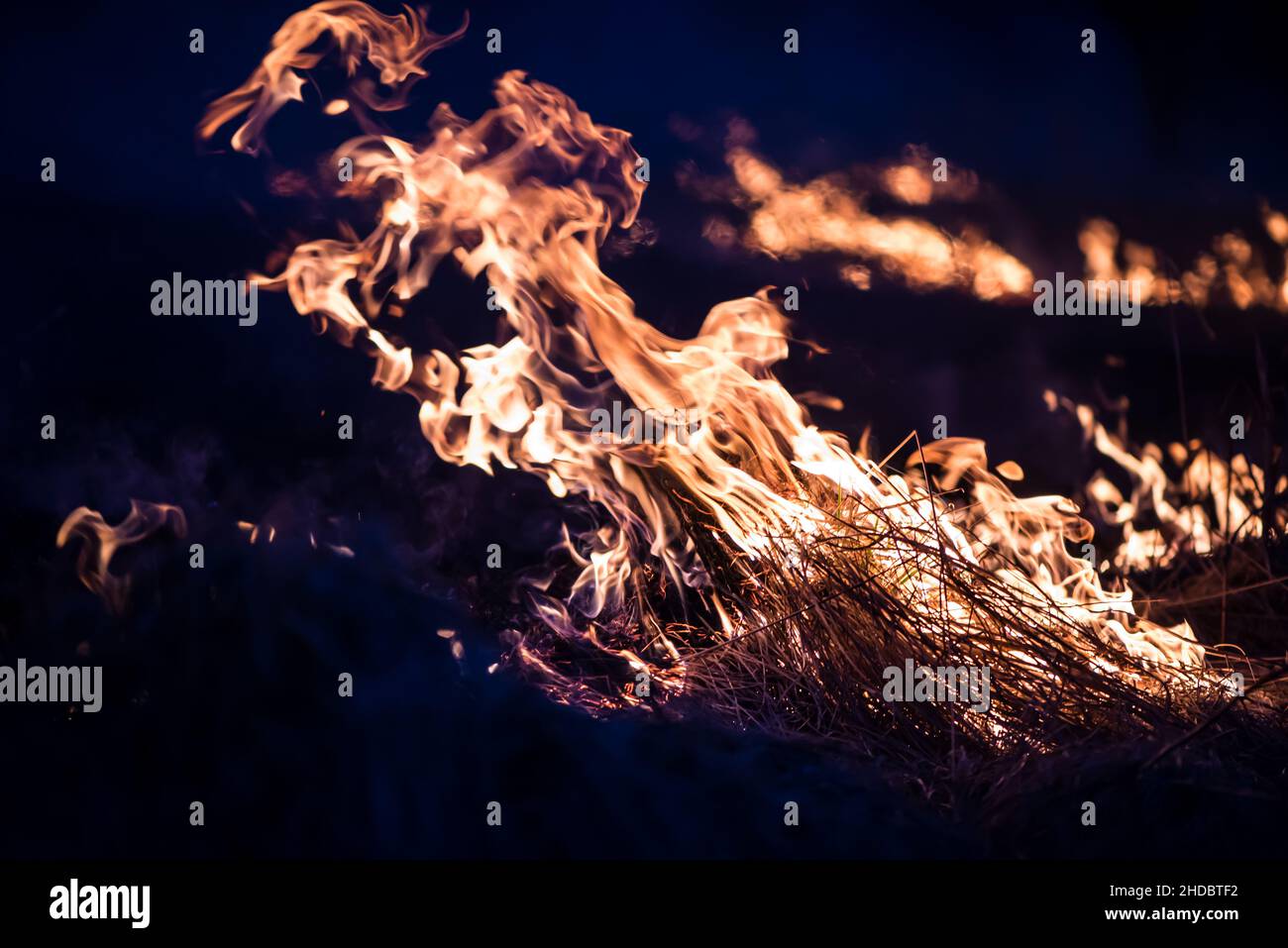 Nature on fire, night shot. Arson and fire, disaster and extreme events ...