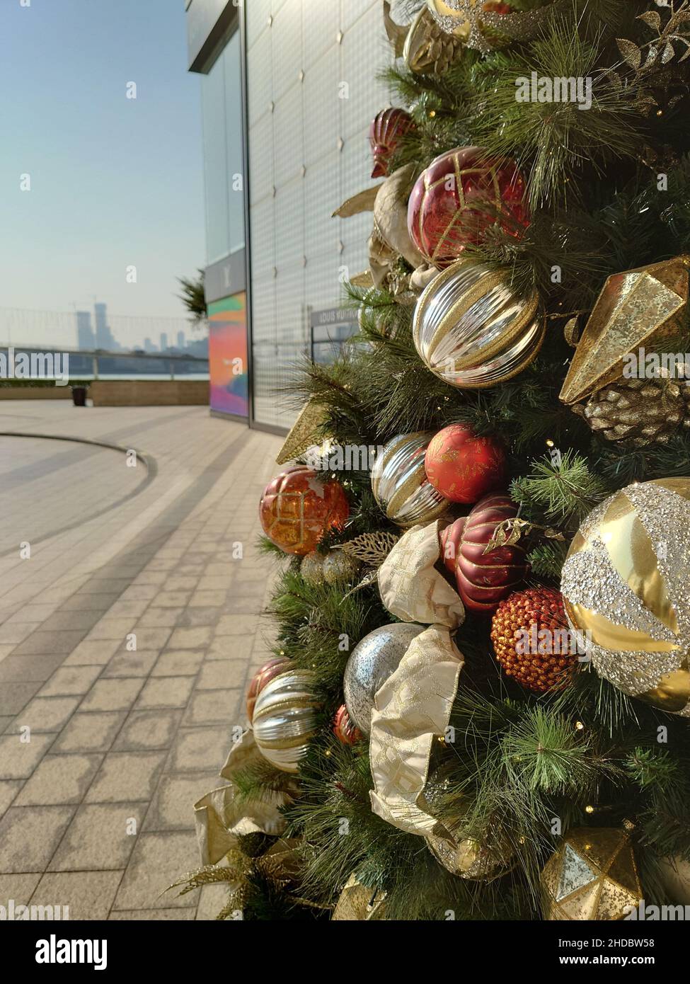 Vertical shot outdoors xmas tree hi-res stock photography and images ...