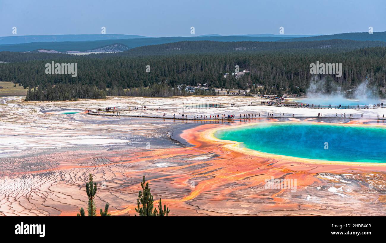 Geyser in Yellowstone National Park, United States Stock Photo - Alamy