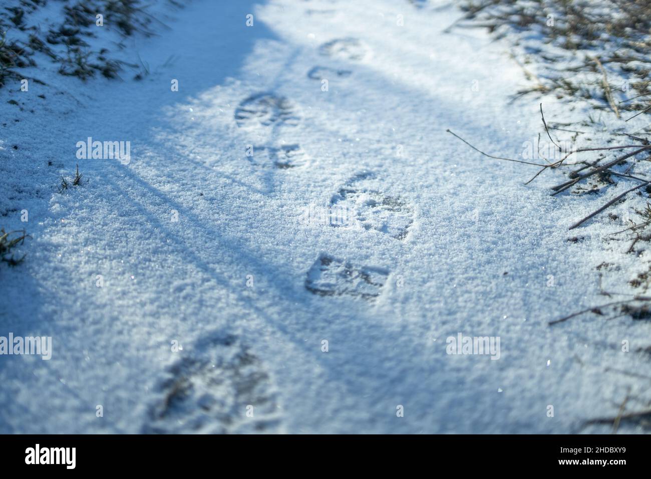 Footprint in the fresh snow. Texture of snow surface. Magic winter time ...