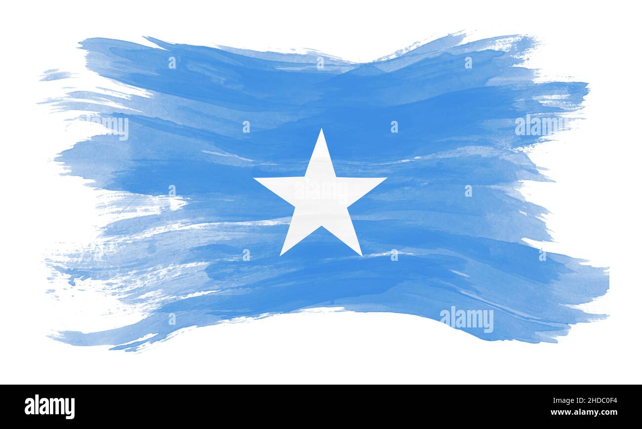 Somalia flag brush stroke, national flag on white background Stock ...