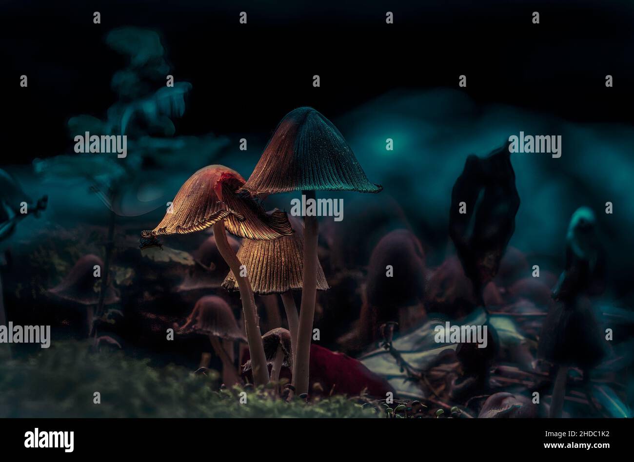 Magical painting hi-res stock photography and images - Alamy