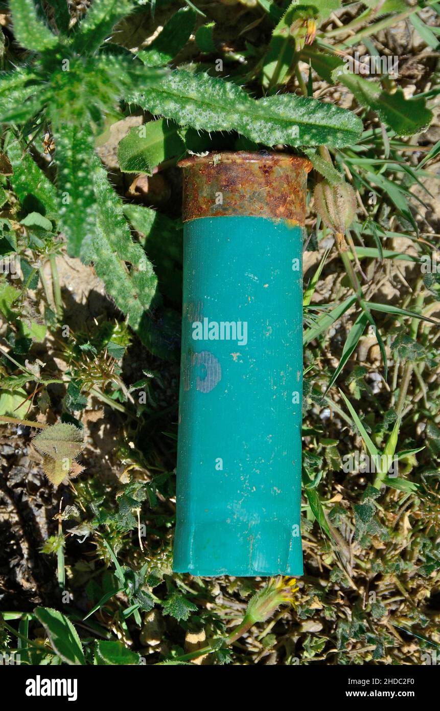 Shotgun shell in the grass Stock Photo - Alamy