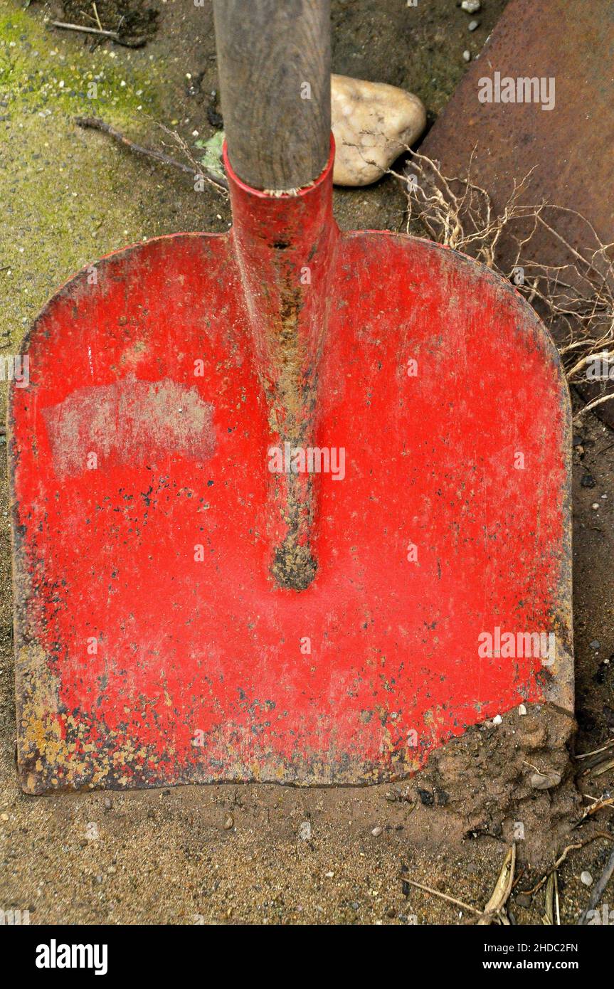 Red shovel on a sandy floor Stock Photo - Alamy