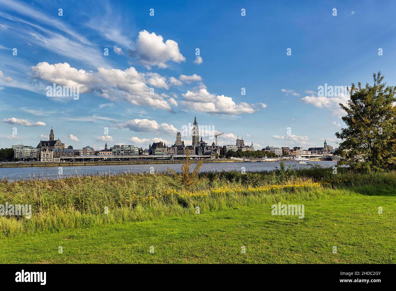 View of Antwerp from the riverbank, River Scheldt, Antwerp, Flanders ...
