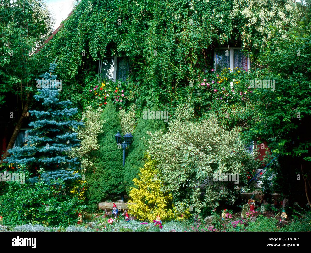 Ivy tendrils and flower garden, Ivy tendrils flower-garden gnomes House ...