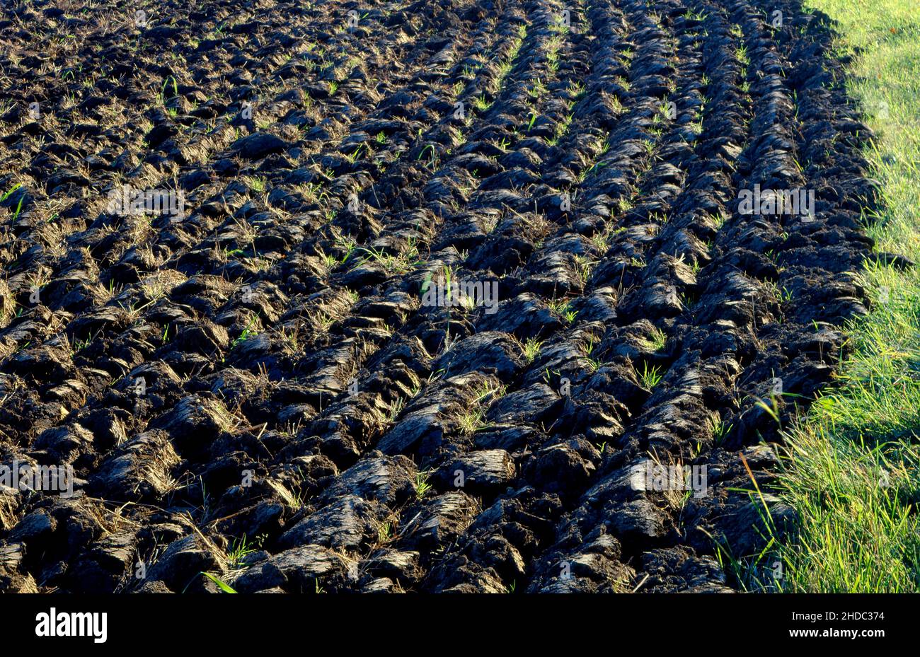 Tilled, freshly ploughed field in the spring, agriculture, Ordered ...