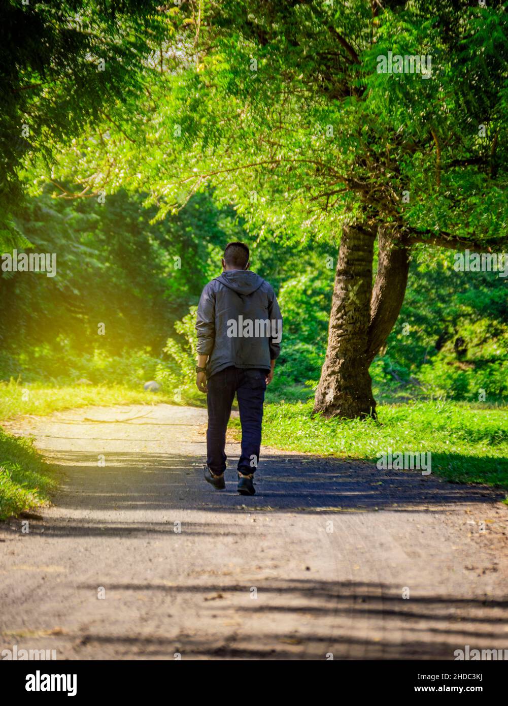 Latin man walking on a nice road, rear view of a young man walking on a ...