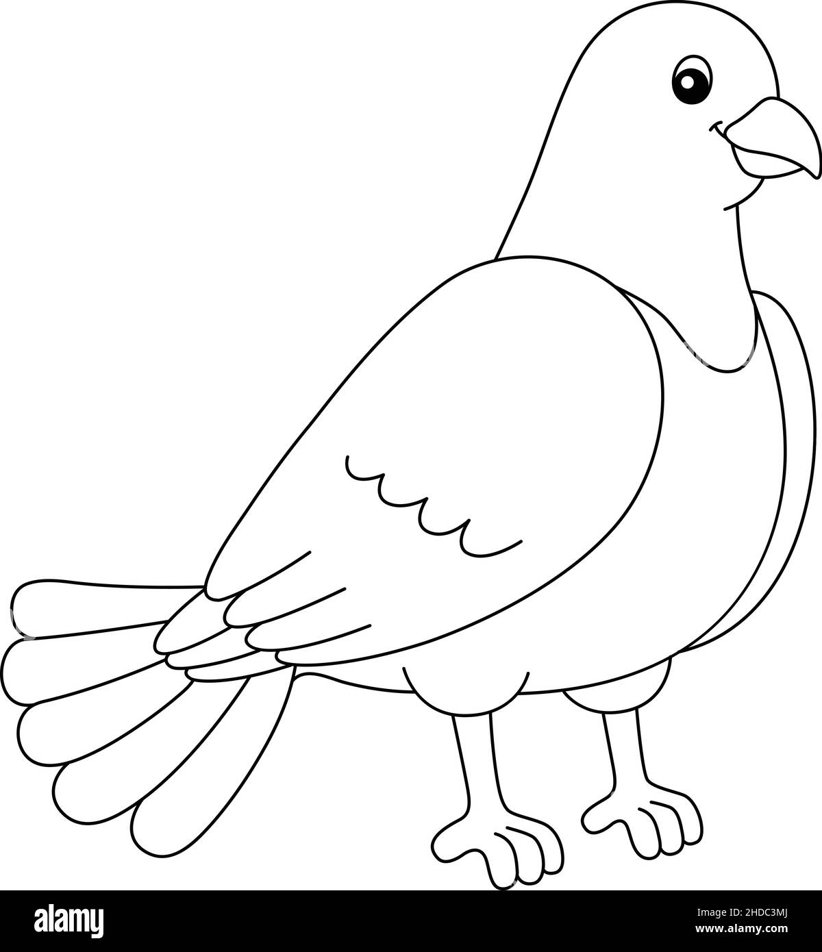 Pigeon Coloring Page Isolated for Kids Stock Vector Image & Art - Alamy