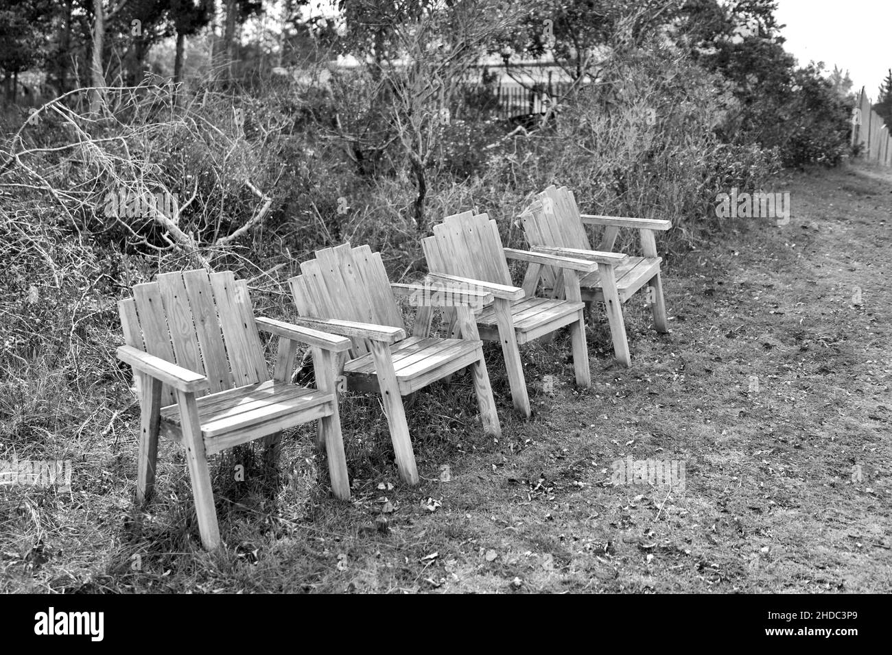 Lee krasner hi-res stock photography and images - Alamy