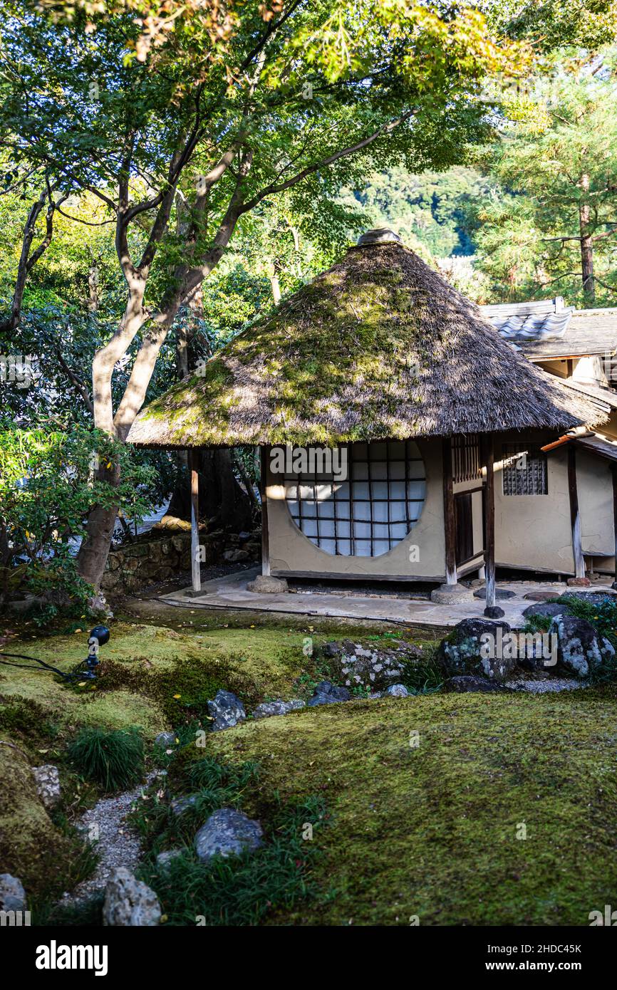 Traditional Japanese buildings with a hint of fall colors in soft light ...
