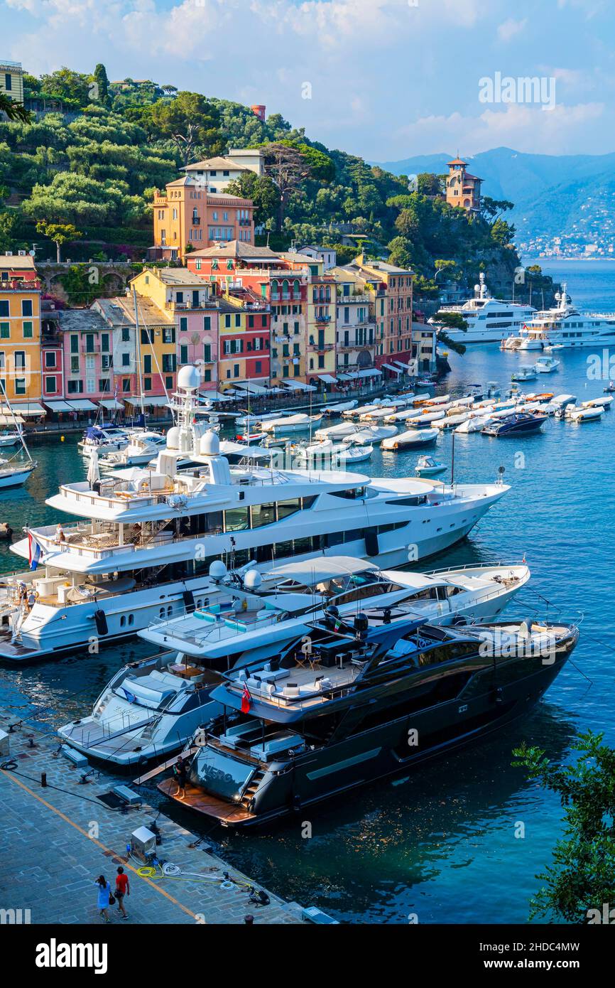 Luxury yachts anchored in Portofino harbour, Portofino, Liguria, Italy ...