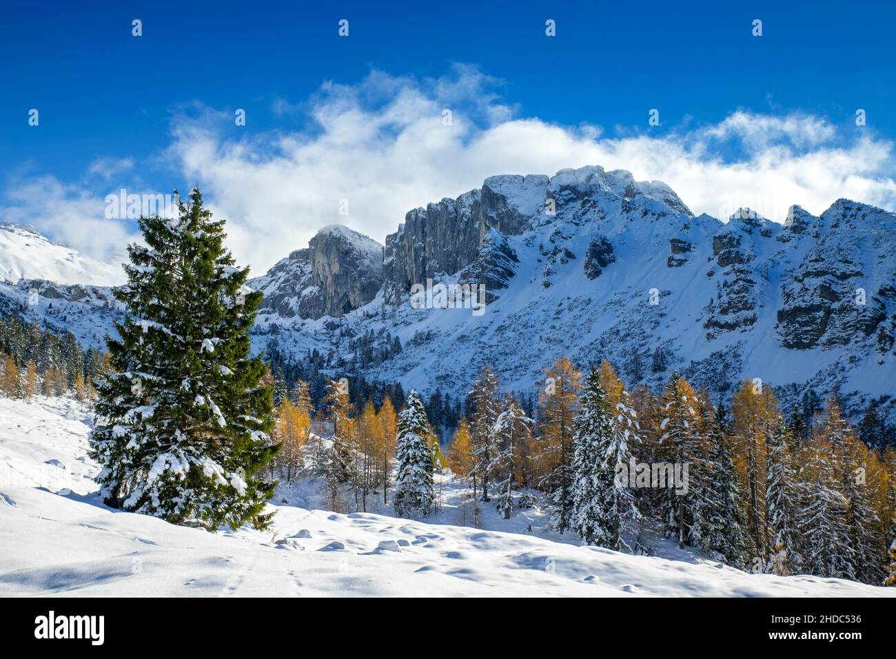 Mountain landscape in late autumn with snow, spruces and larches in ...