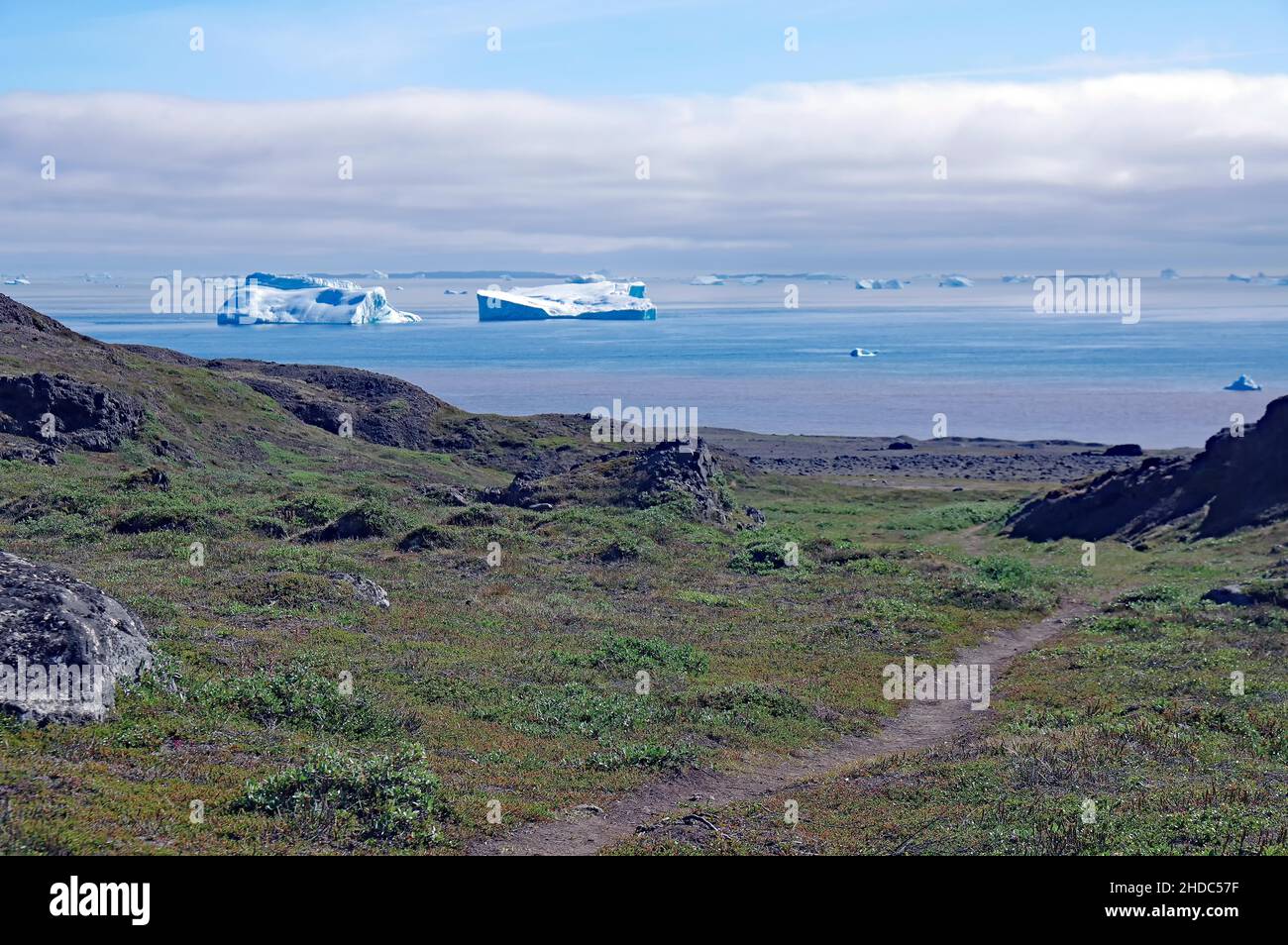 Hiking trail in green, arctic landscape, wide bay with icebergs and red ...
