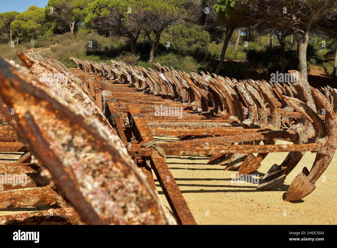 Old rusty transport ship in hi-res stock photography and images - Alamy