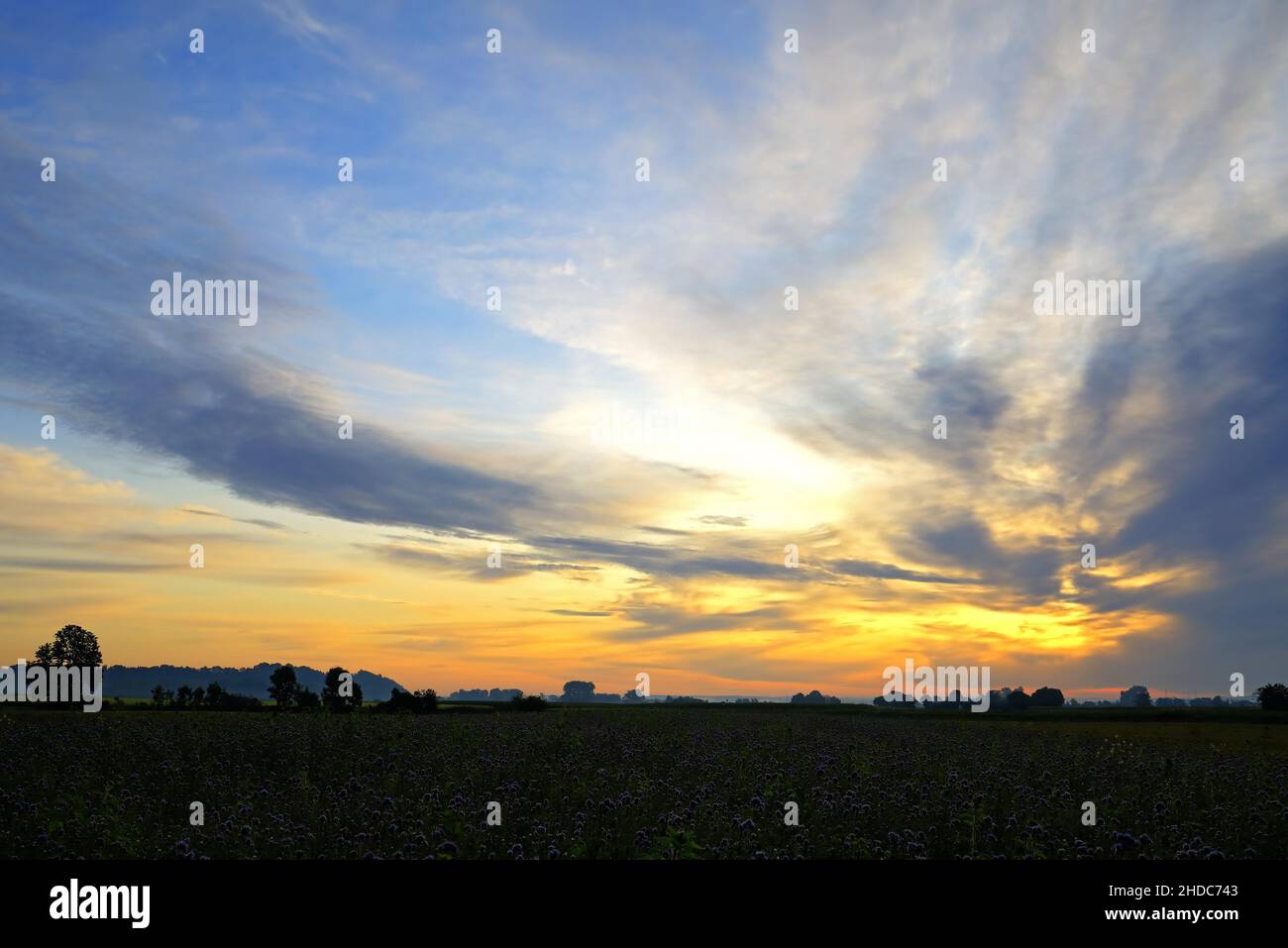 Sunrise, clouds, Mengen, Upper Danube nature Park, Baden-Wuerttemberg ...