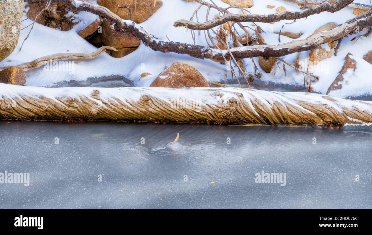 Frozen iced tree branches hi-res stock photography and images - Alamy