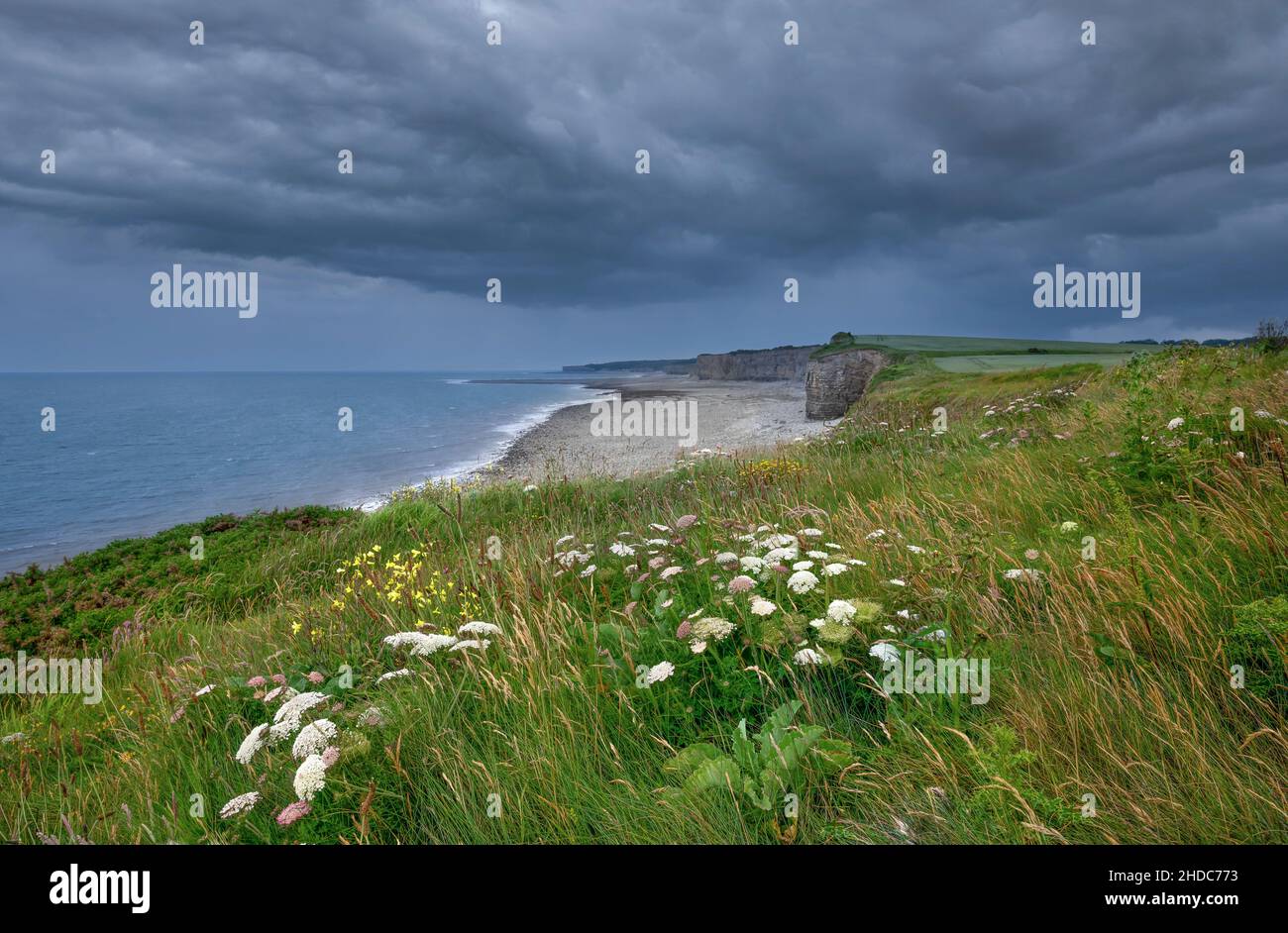 Coastal path work hi-res stock photography and images - Alamy