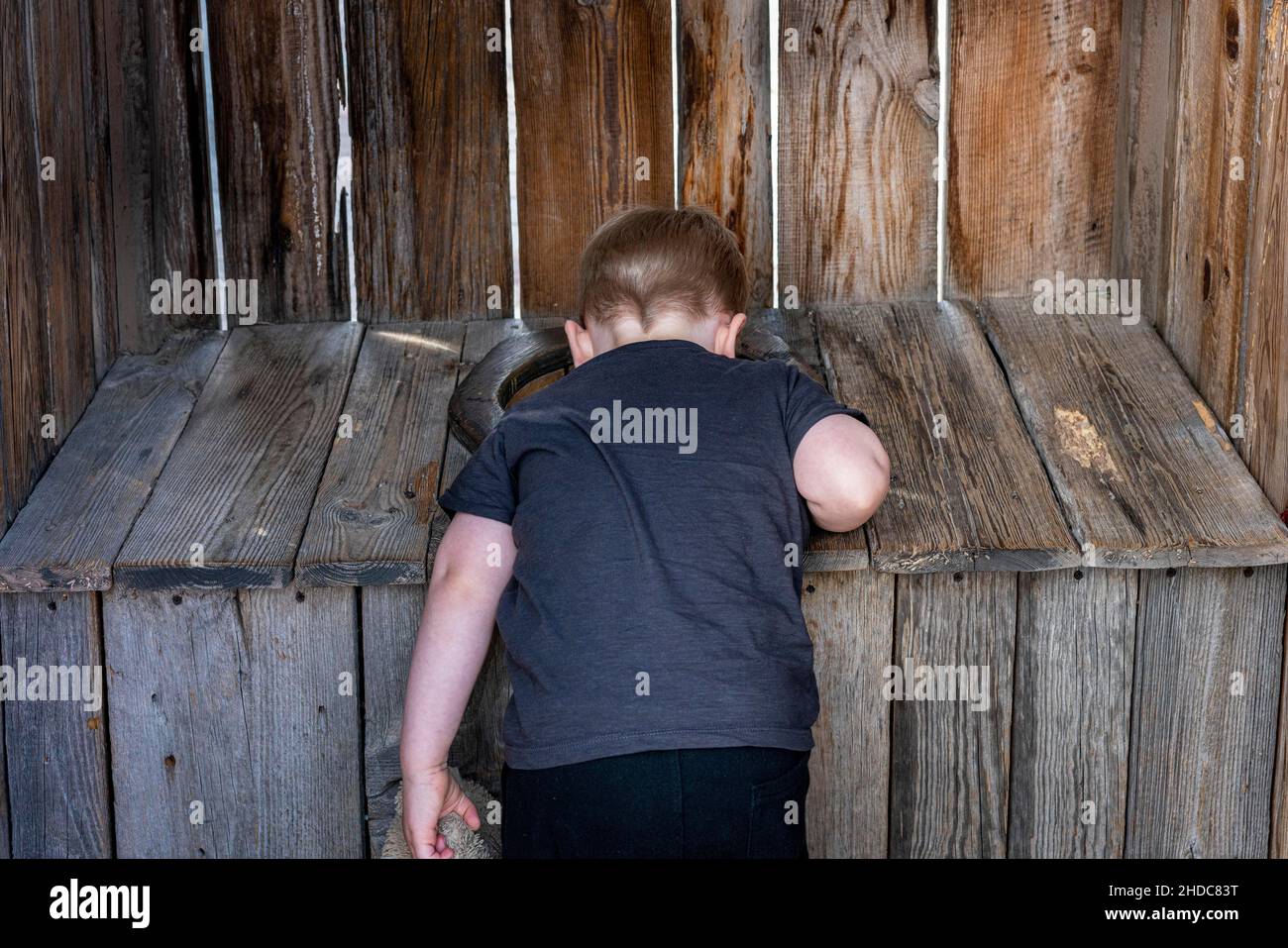Curious toddler looks into an outhouse, Berlin, Germany, Europe Stock ...
