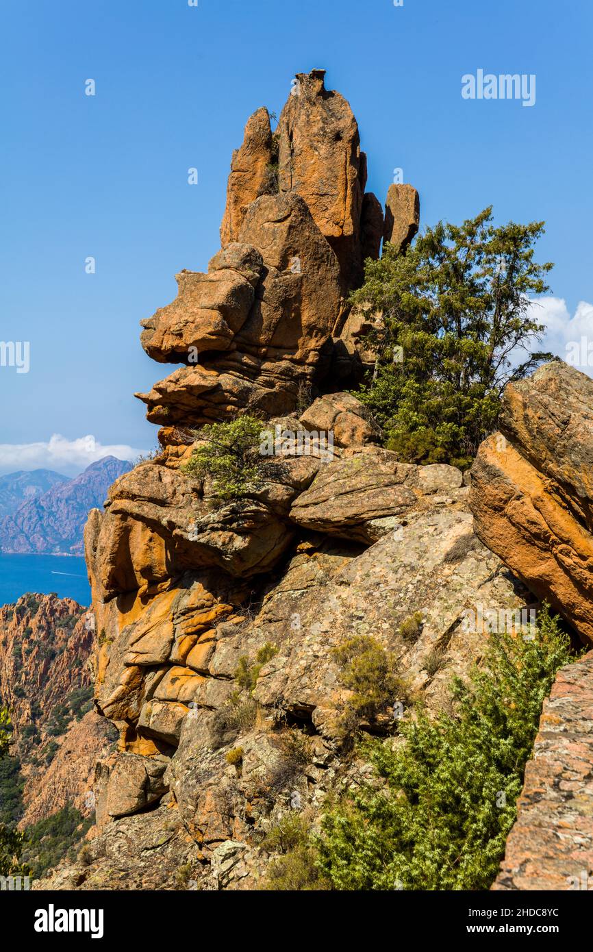 Calanche, bizarre rock formations at 400 m altitude, Corsica, France ...