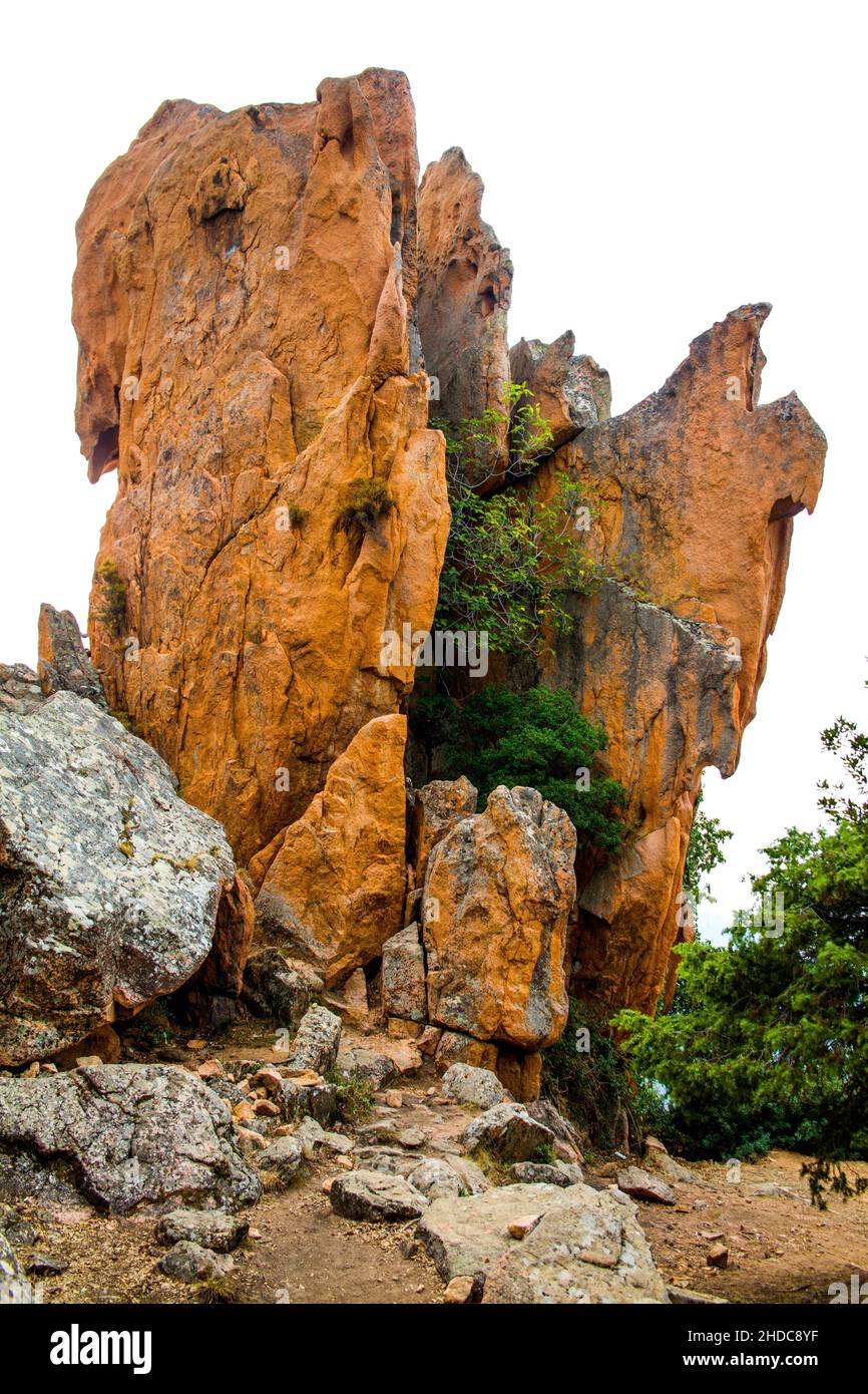 Calanche, bizarre rock formations at 400 m altitude, Corsica, France ...