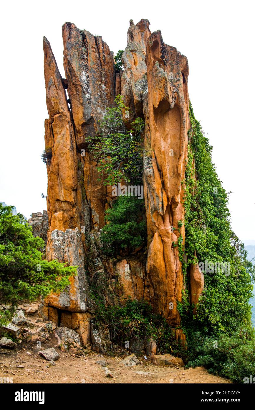 Calanche, bizarre rock formations at 400 m altitude, Corsica, France ...