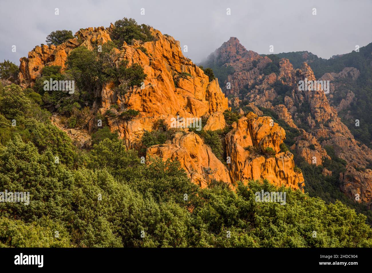 Calanche, bizarre rock formations at 400 m altitude, Corsica, France ...