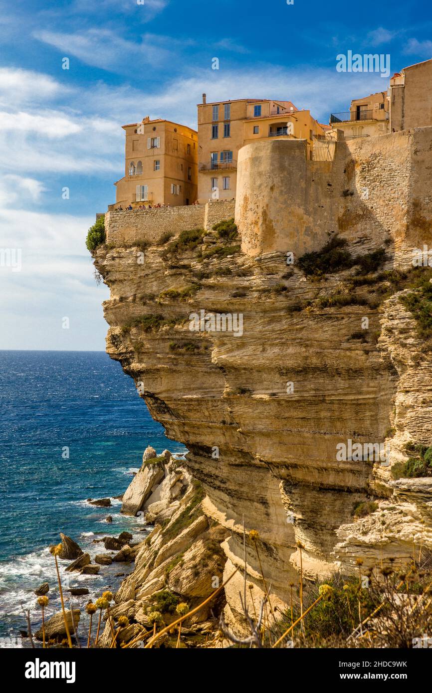 Steep coast of Bonifacio with old town on a limestone plateau, Corsica ...
