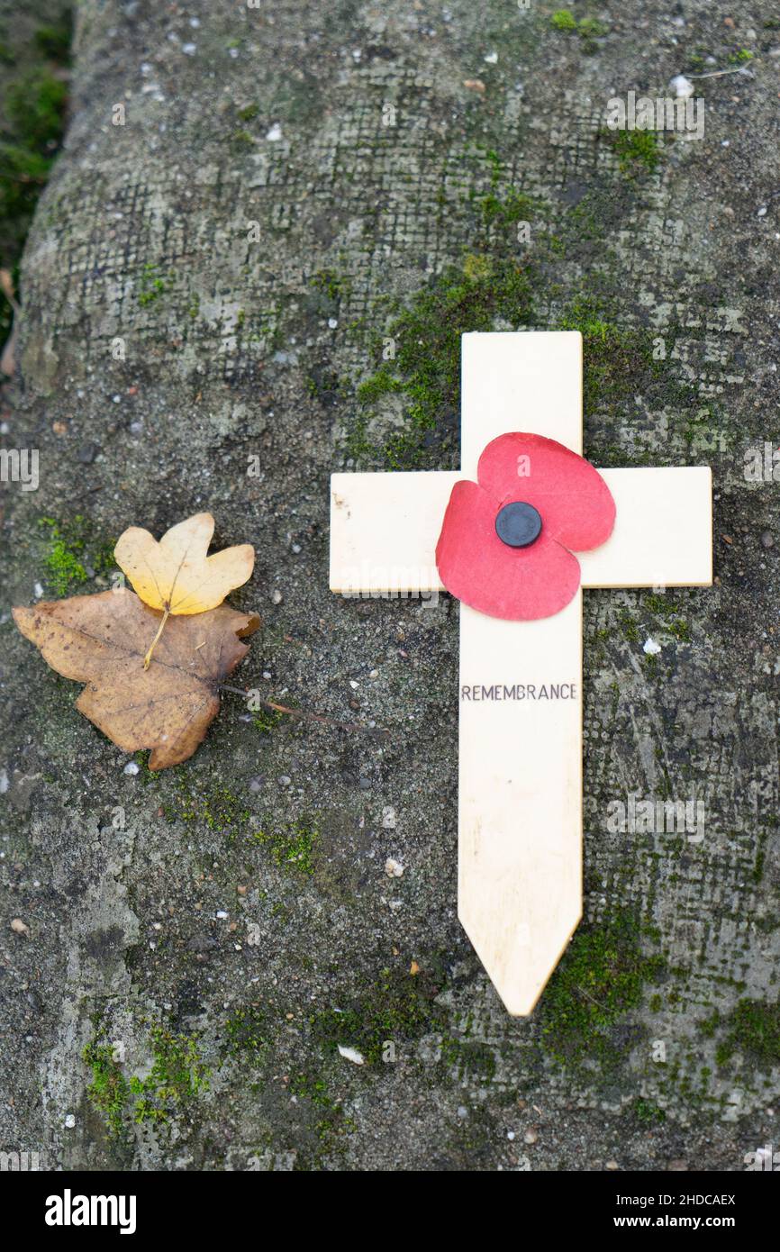 Lest we forget - Remembrance poppy on a wooden cross symbol of the ...