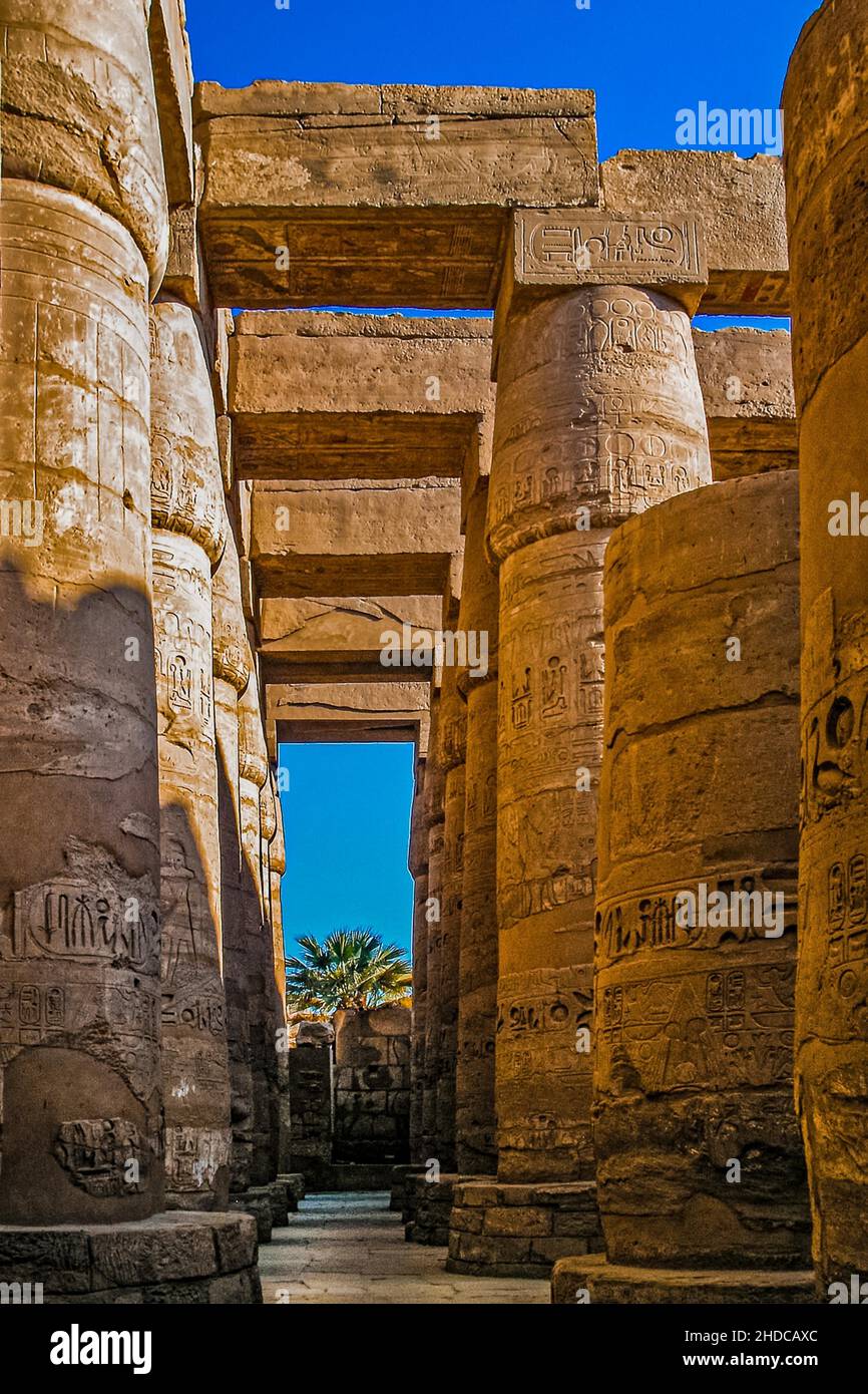 The Hall of Columns in the Main Temple of Amun, built by Sethos I and ...
