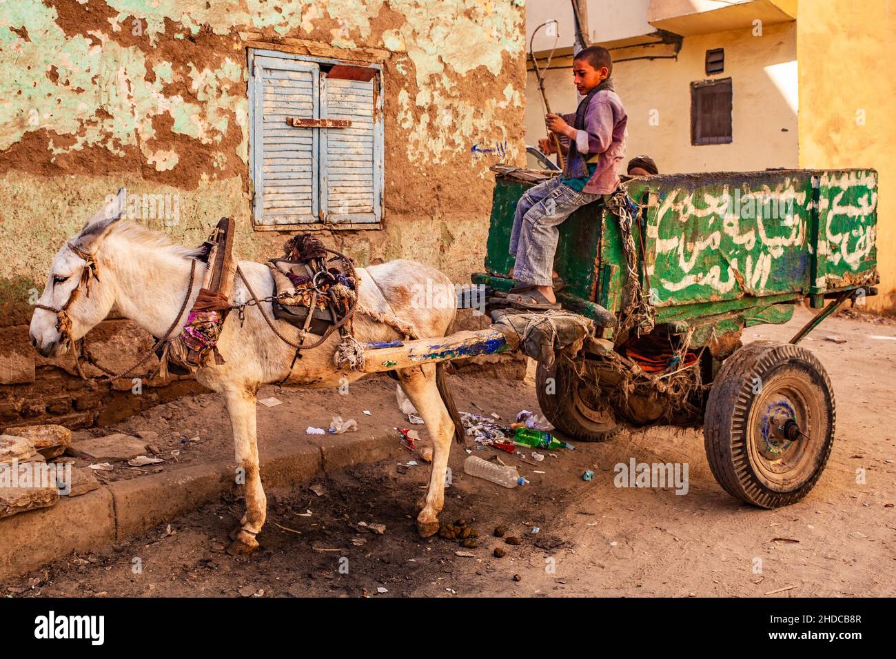 Horse-drawn carts, bazaar in the Old City, Luxor, Thebes, Egypt, Luxor ...