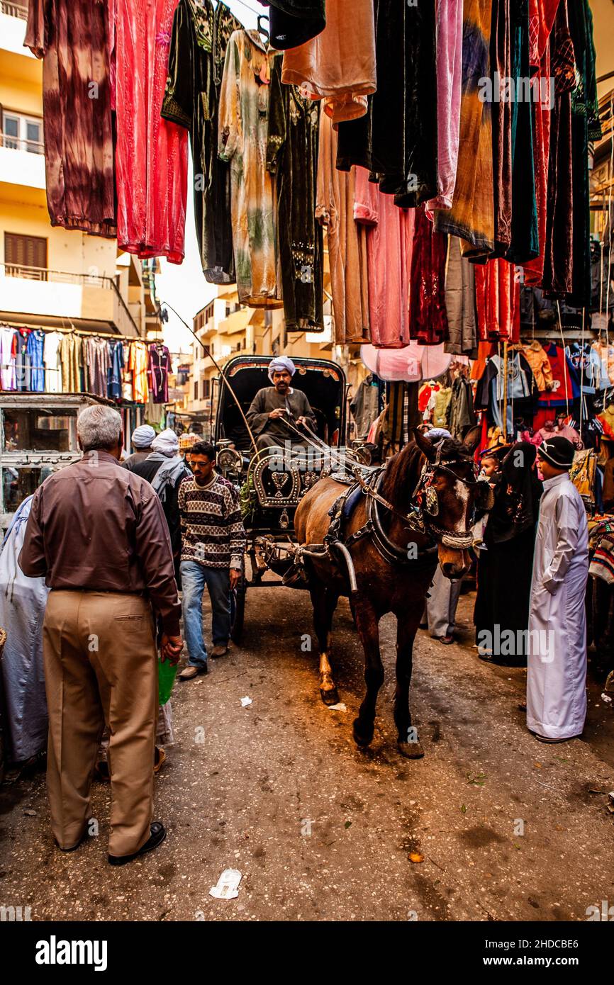 Carriage through the bazaar in the Old City, Luxor, Thebes, Egypt ...