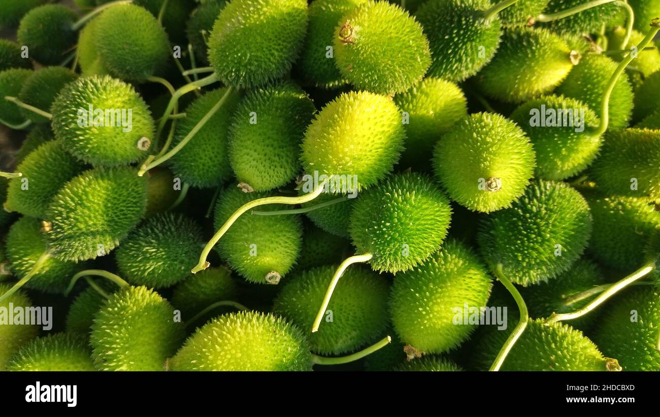 Fresh spiny gourd vegetable in the street market Stock Photo - Alamy