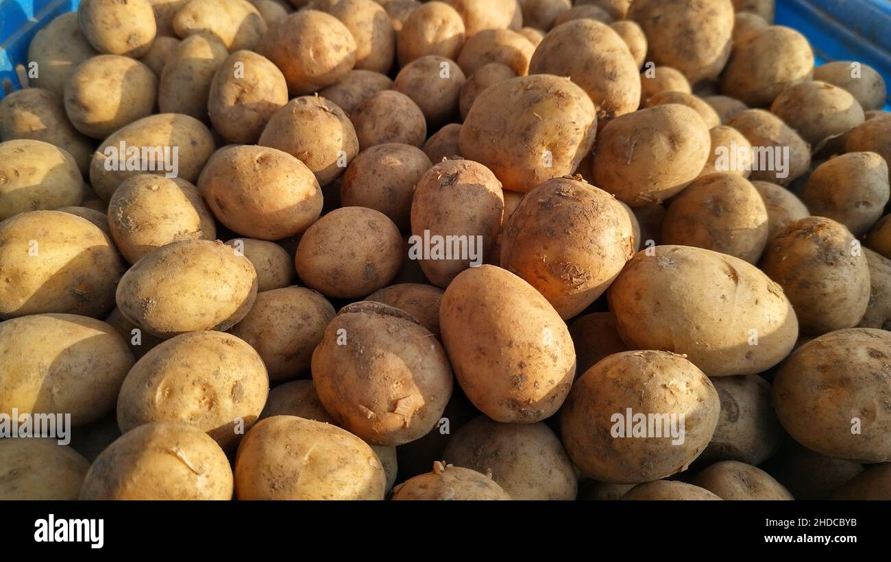Market potatoes group vegetable hi-res stock photography and images - Alamy