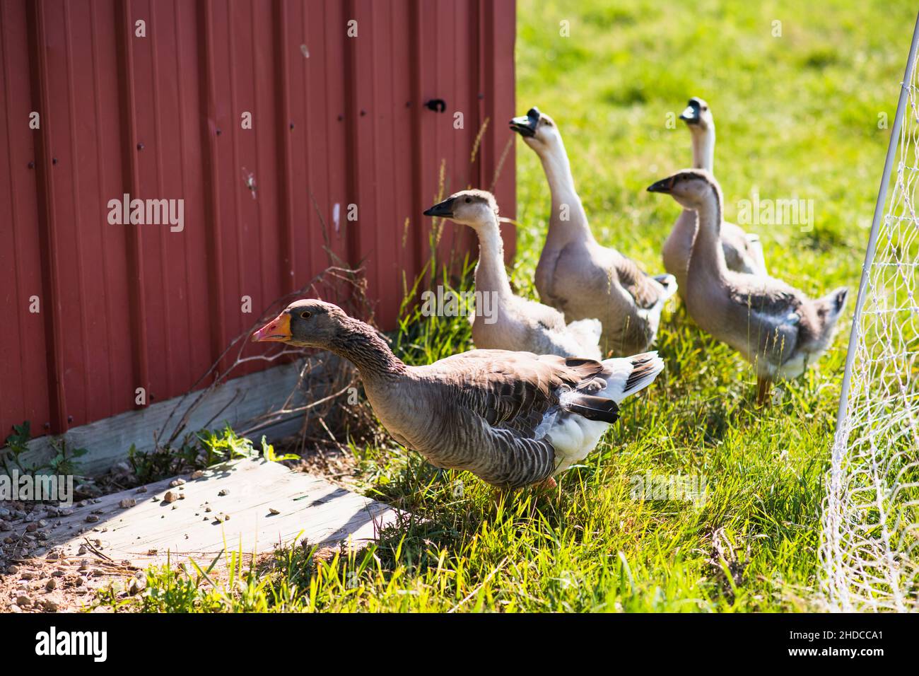 Open air outside outdoors hi-res stock photography and images - Alamy