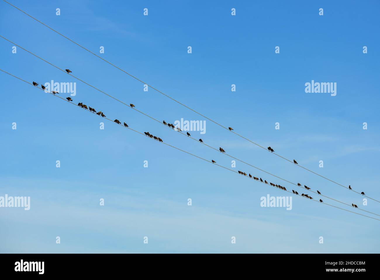 Musical notes on lines hi-res stock photography and images - Alamy