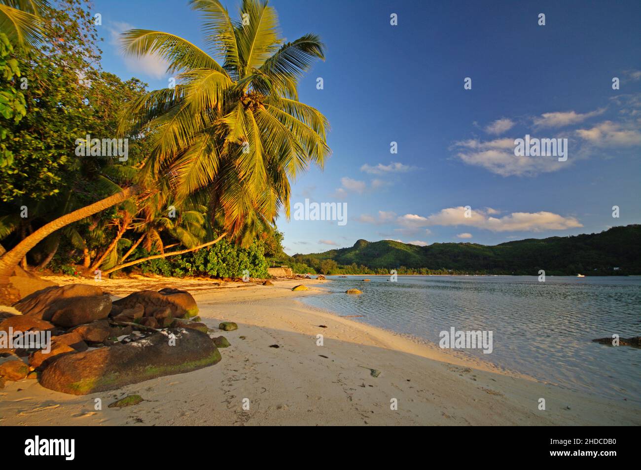 Sonnenuntergang und palmen strand hi-res stock photography and images - Alamy