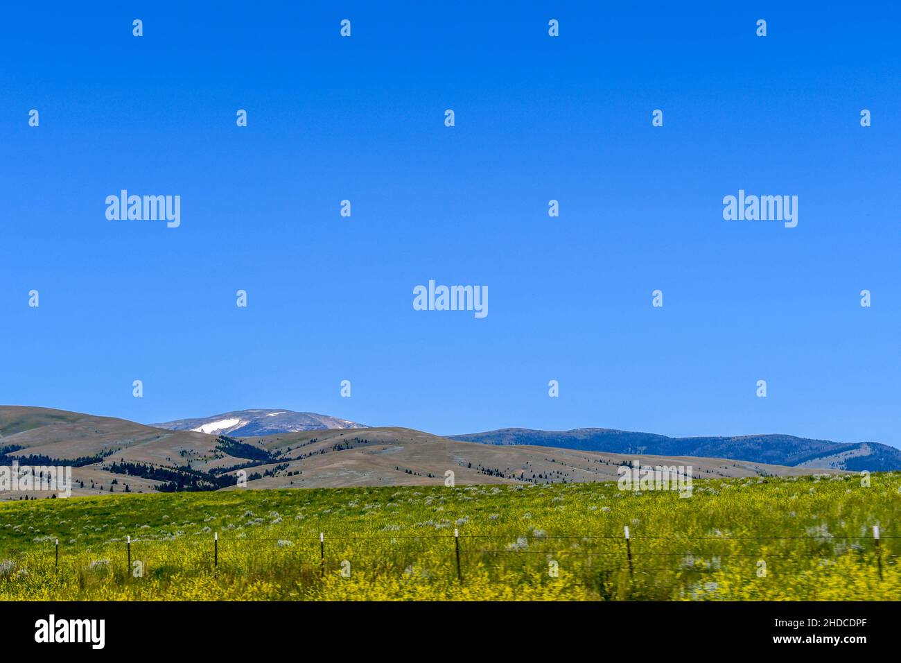 Helena national forest hi-res stock photography and images - Alamy