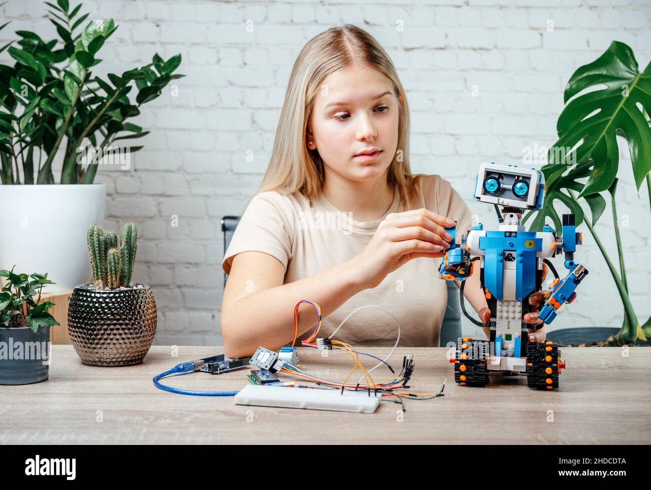 A blonde teen girl building and programming robot while studying robotics engineering and coding ...