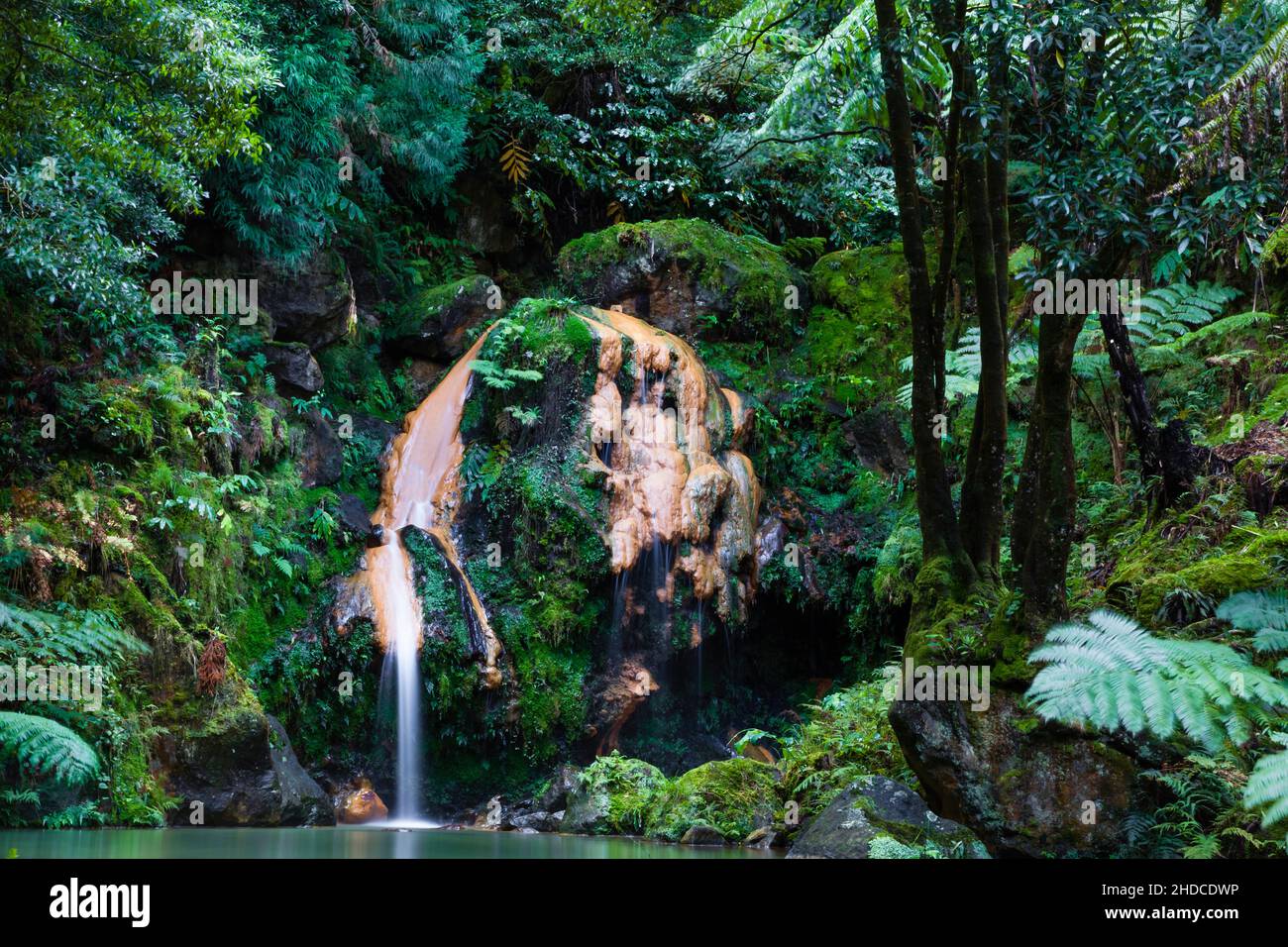 Portugal, Azoren, Sao Miguel, Caldeira Velha Stock Photo - Alamy