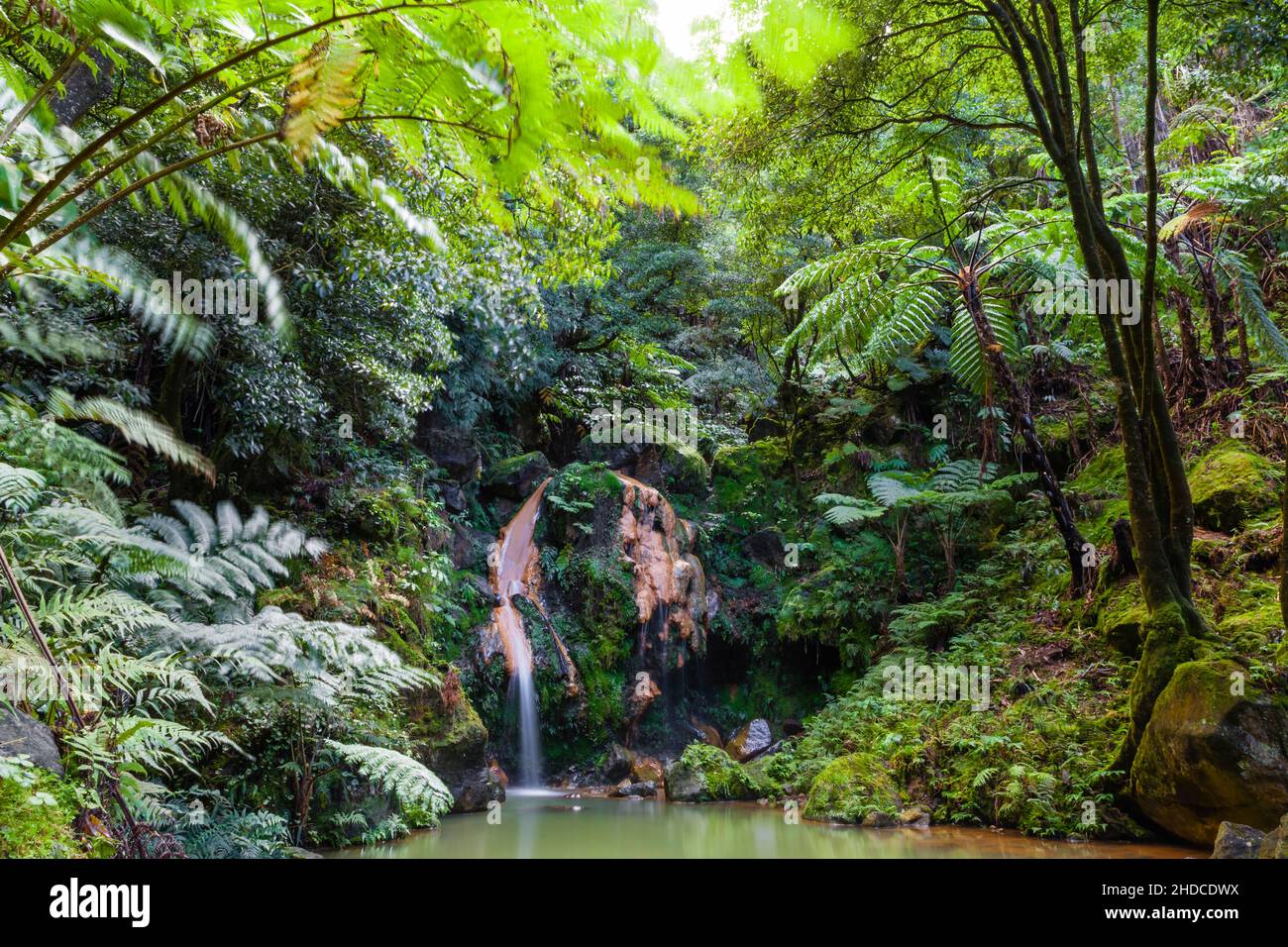 Portugal, Azoren, Sao Miguel, Caldeira Velha Stock Photo - Alamy