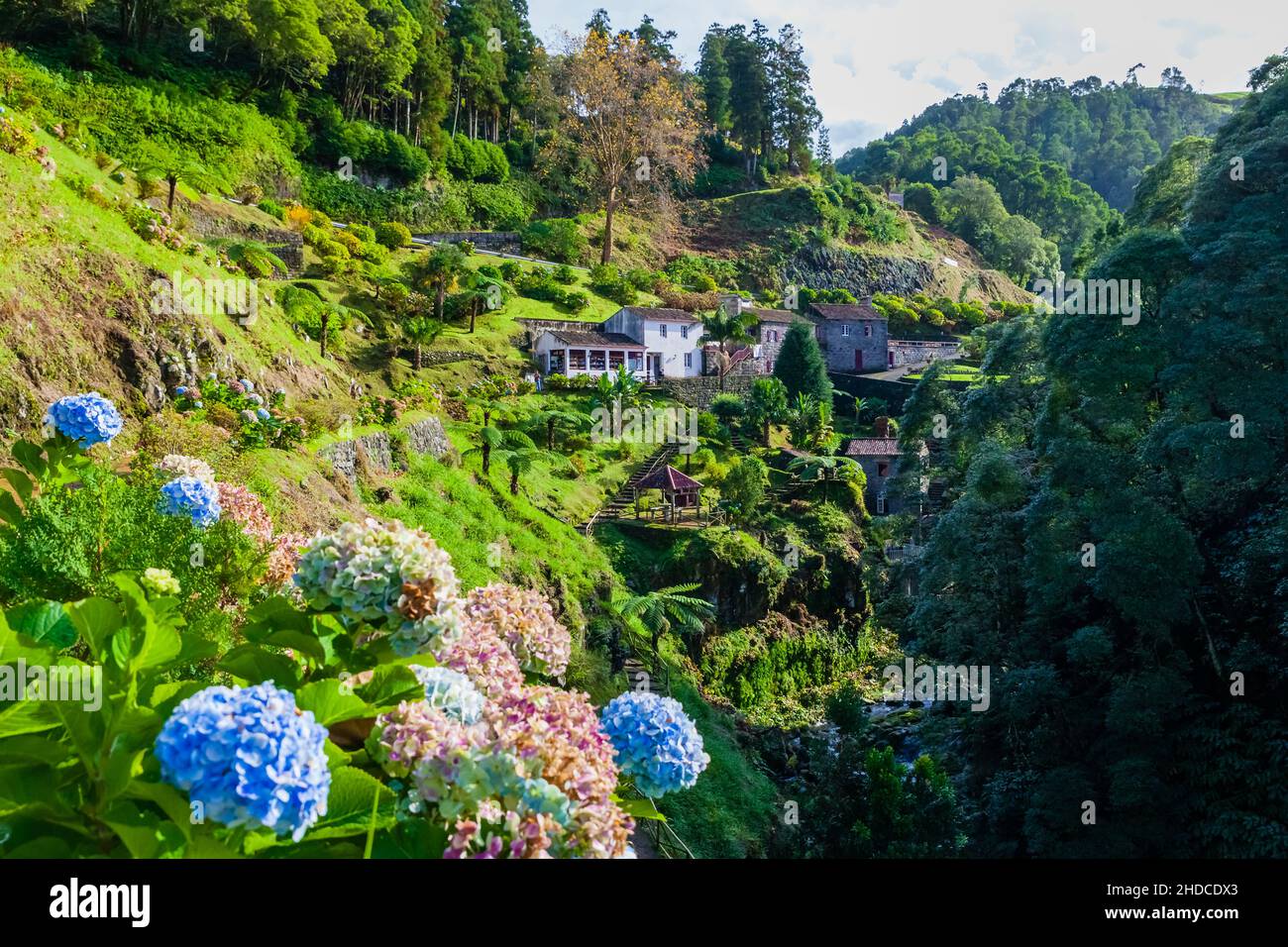 Portugal, Azoren, Sao Miguel, Parque Natural Da Ribeira Dos Caldeiroes ...